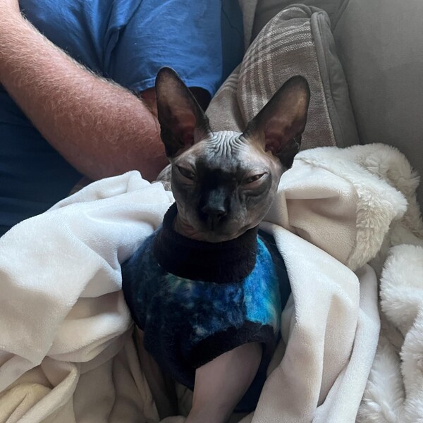 Snuggle Bed, Cat Sleep Sack, Sleeping Bag, Pet Sleeping Bag, Pet ...