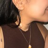Small Hawaiian Cone Shells Handpicked From Oahu Beaches for Jewelry ...