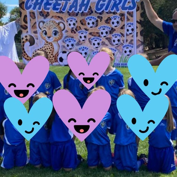 PVC Banner Stand for Soccer Team Banner - Etsy