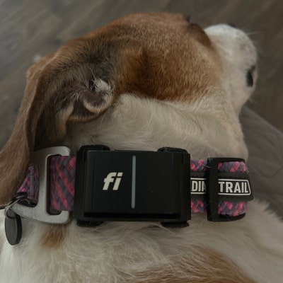 Fi Series 2 Collar Adapter - Etsy