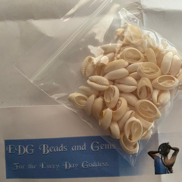 50 Small Cowrie Shell, Natural Sea Shell - Money Shell Bead, Cut Back ...