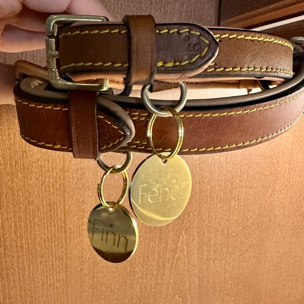 Personalized Gold Dog Tag Custom Engraved ID for Dogs Microchip ...