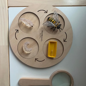 MARINE ROPE KNOTS Montessori Cards Flash Cards Three Part Cards ...