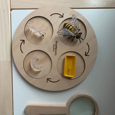 PARTS of a BIRD Montessori Cards Flash Cards Three Part Cards ...