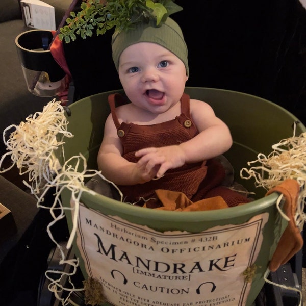 Realistic Mandrake Label, Printable Sticker Prop Potter Herbology - Etsy