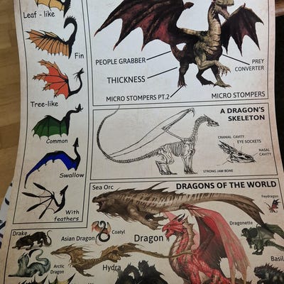 Cattle Knowledge, Breeds of Cattle Poster, Vintage Cattle Wall Art ...