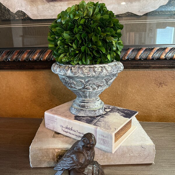 French Country Boxwood Topiary, Boxwood Orb Topiary, Preserved Boxwood ...