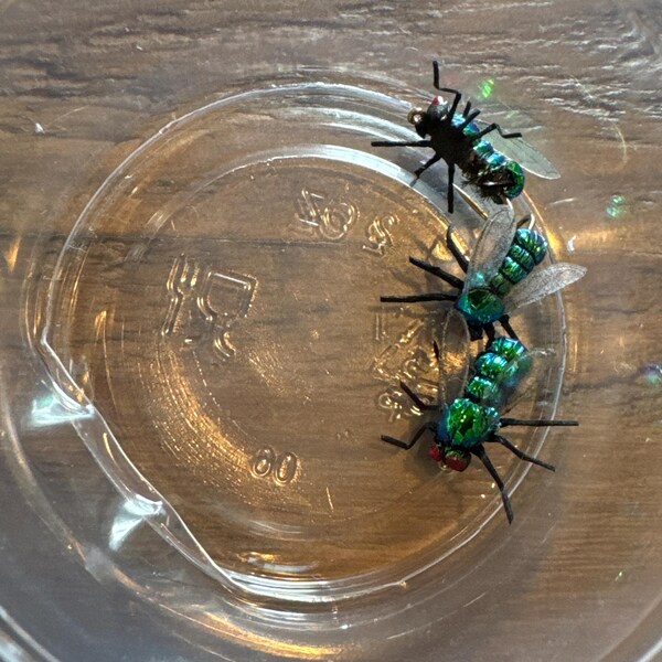 The Best Hopper Patterns - Irresistible Hopper - Terrestrial Fly ...