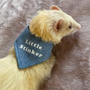 Sea Breeze Ferret Bandana Ferret Scarf Ferret Accessories - Etsy