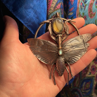 Huechys Sanguinea, Black and Scarlet Cicada, Real Cicada, Entomology ...