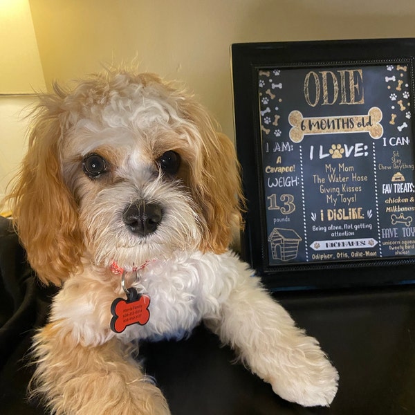 EDITABLE Puppy Dog Birthday Chalkboard Poster. Dog Printable Milestone ...