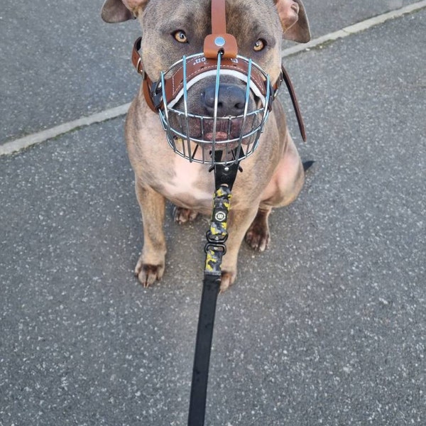 Metal Basket Muzzle for American Bully, XL Bully and Other Dogs. - Etsy
