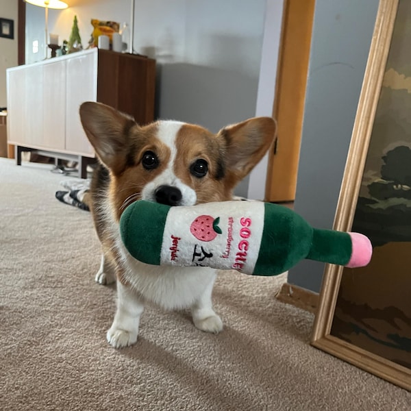 Sochew (soju) Bottle Dog Plush Toys With Squeaker - Strawberry - Grape ...