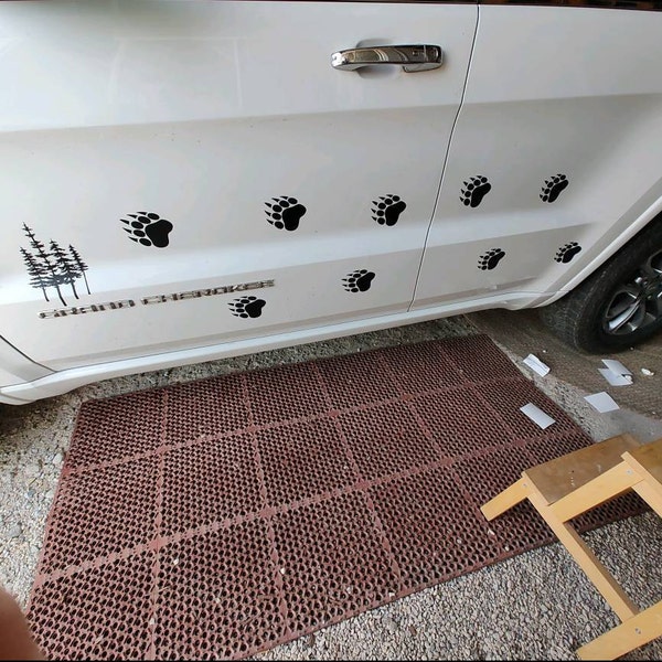 Firefly Wall Decals, Set of 10, Fire Flies Fireflies Lightening Bug ...