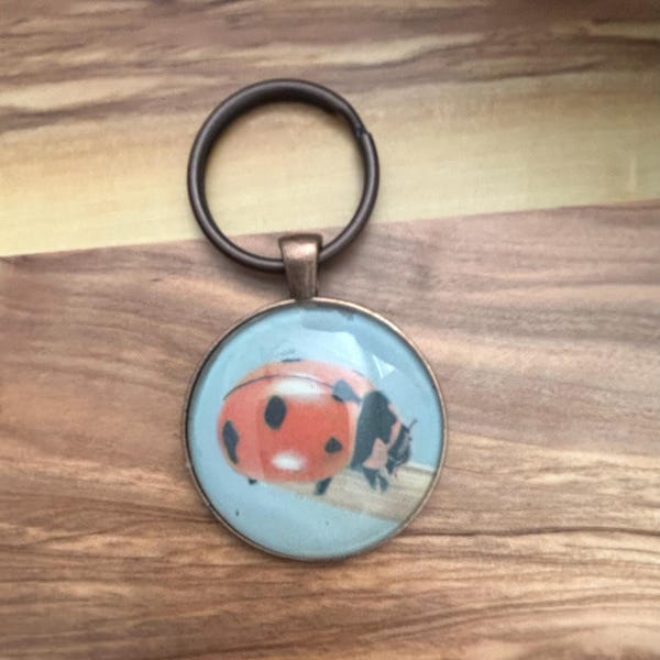 Trilobite Embroidered Hoop Art - Etsy