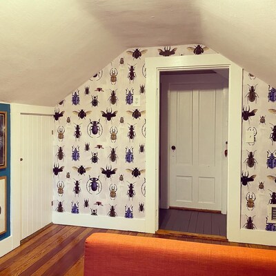 Bug WALLPAPER, INSECTS Wall Art, REMOVABLE Wall Paper, Adhesive Peel ...