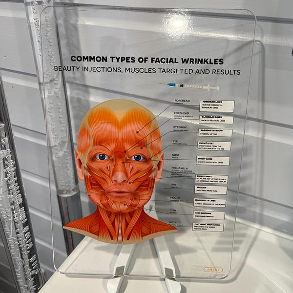 Face Muscles Anatomy- Botox, Aesthetics, Beauty, Teaching, Clinic Decor ...