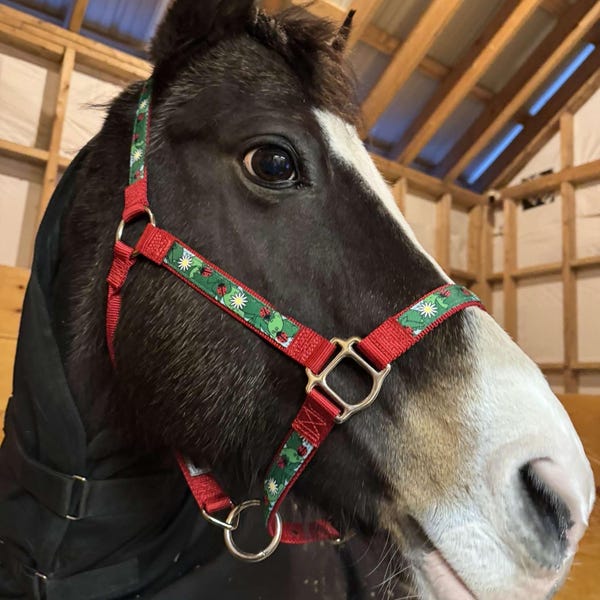 Custom Horse Halter Handmade USA by Halter All, Southwestern Western ...