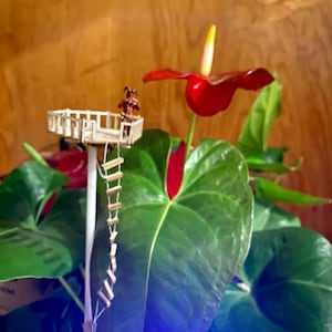 Amazing Plant House Miniatuur Boomhuis Voor in Je Plant. Een - Etsy