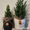 Mini Farmhouse Faux Christmas Tree Crochet Planter Sweater Cozy Winter ...