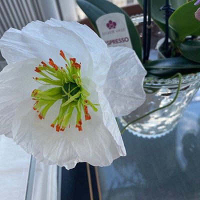 Paper Poppies, Crepe Paper Poppy, Poppy Centerpiece, Poppy Bouquet - Etsy