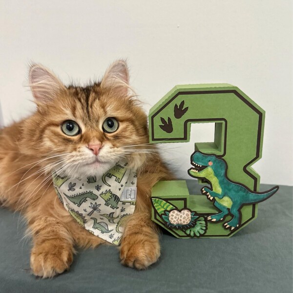 3 REX Birthday Letters, 3 Rex Birthday Centerpiece, 3 REX Birthday ...