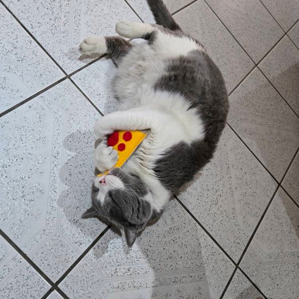Pepperoni Pizza Slice Catnip Cat Toy - Ready to Ship, Gift for Cat ...