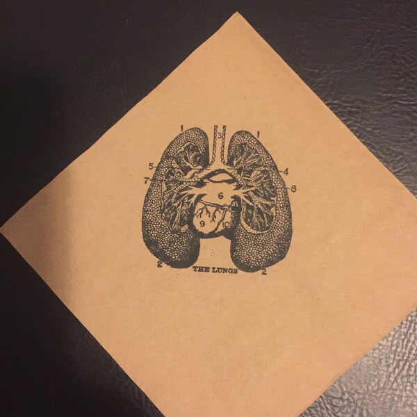 The Lungs Diagram Wood Mounted Rubber Stamp 6133 - Etsy
