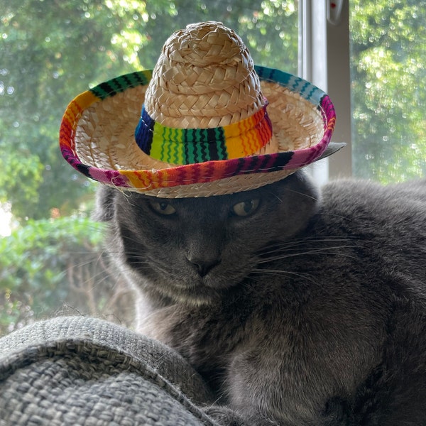 Cat Sombrero Mexican Cat Hat Dog Hat FREE SHIPPING - Etsy
