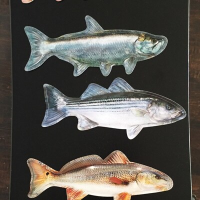 Bluegill, Bluegill Decal, Bluegill Sticker, Panfish - Etsy