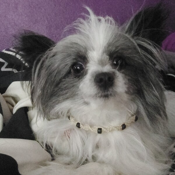 Hemp Necklace, Teen Chokers, Anklet, Bracelet, Hippie Necklace With ...