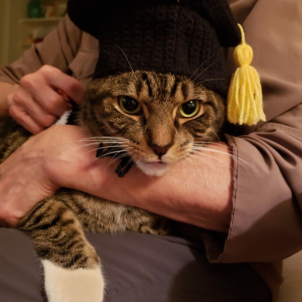 Graduation Costume for Cat, Graduation Cat Cap, Gift for Cat Lover, Cat ...