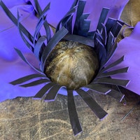 Isolon Sheets, Izolon Sheets, Colorfull Isolon Sheets, Large Isolon ...