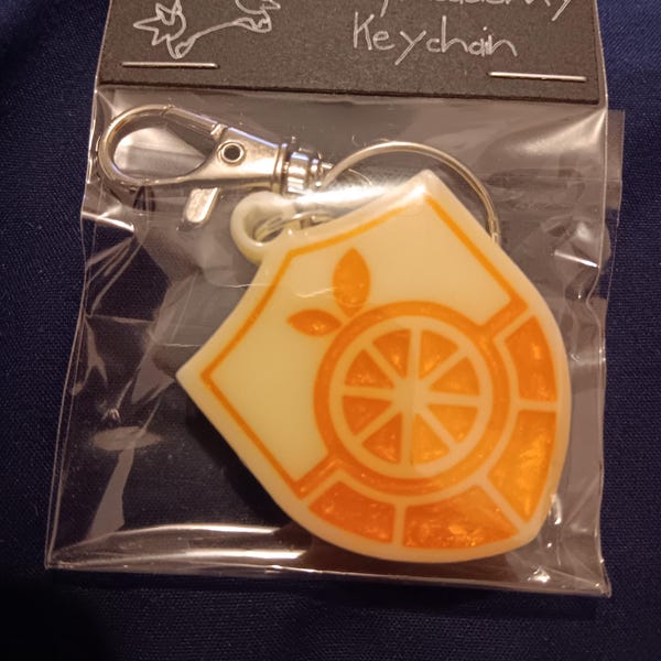 Palestine Fundraiser Keychains, Pins, and Earrings - Etsy