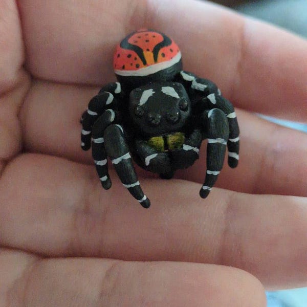 Mini Spooder - Baby Jumping Spider Figure - Iridescent Markings - Tiny ...