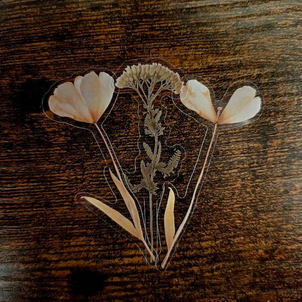 Retro Film Frame Sticker, Vintage Camera Film Roll Sticker, Film Strip ...