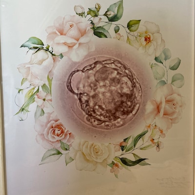 Custom Embryo Art Print Floral Watercolor Roses Nursery Decor IVF Baby ...