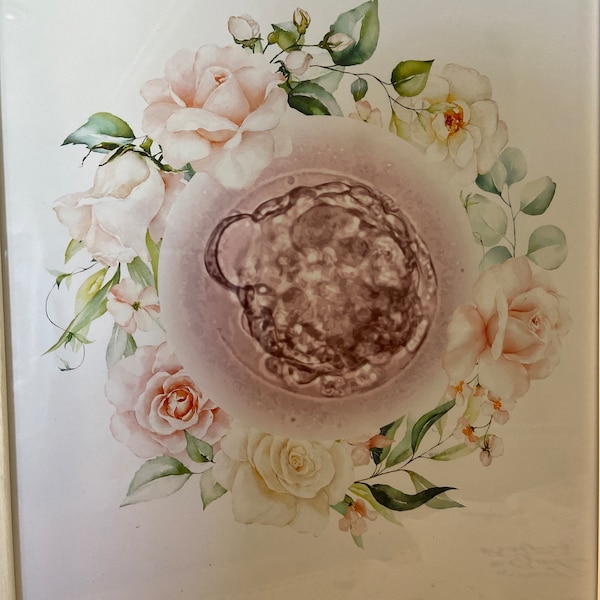 Custom Embryo Art Print Floral Watercolor Roses Nursery Decor - IVF ...