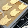Trilobite Cookie Cutter Bakerlogy Biscuit Cutters Extinct Marine ...