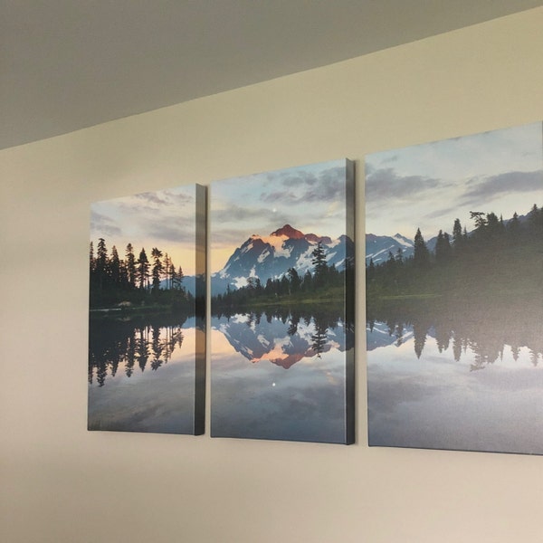 3 Panel Split (triptych) Canvas Print. 1.5" Deep Frames, Beautiful ...