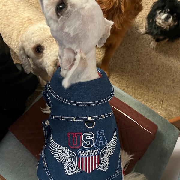 Dog Jumpsuit, Cute Yorkie Girl Outfit, Designer Small Dog Clothes ...