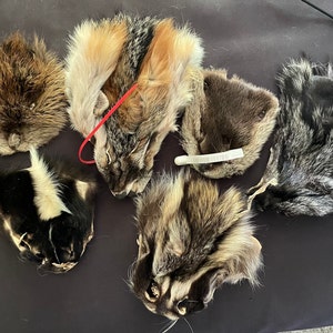 Blue Fox Tails and Silver Fox Tails - Etsy