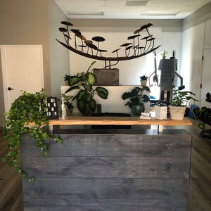 Buy Miami Reception Desk Office Desk Sales Desk Sales Counter Online in ...