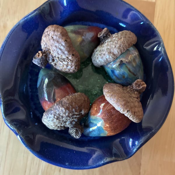 Acorns Fall Pottery Ceramic Harvest Decor Wedding Party Favors ...