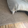 Cozy Beige Wool Rug With Custom Options - Handwoven Chunky Loop Style ...
