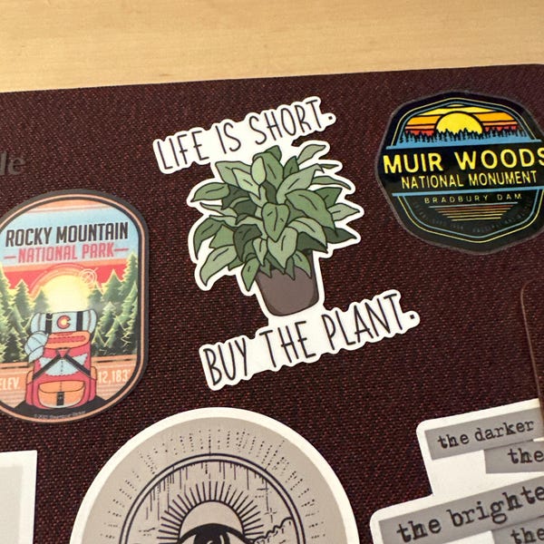 This is Probably Not Water Sticker, Sarcasm Sticker, Funny Quote ...