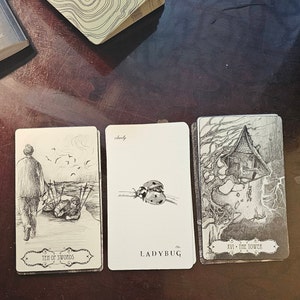 Terra Oracle Deck 100 Card Animal Oracle Deck Hand Drawn Oracle Deck - Etsy