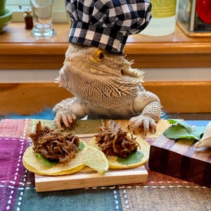 Mini Chef's Hat Traditional White Fabric Pastry Chef - Etsy