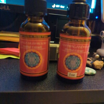 Japanese Knotweed/ Extract // Organic 1 Oz. - Etsy