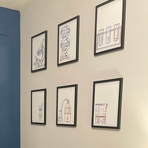 Insects Gallery Wall Elementary School, Middle School, Science ...